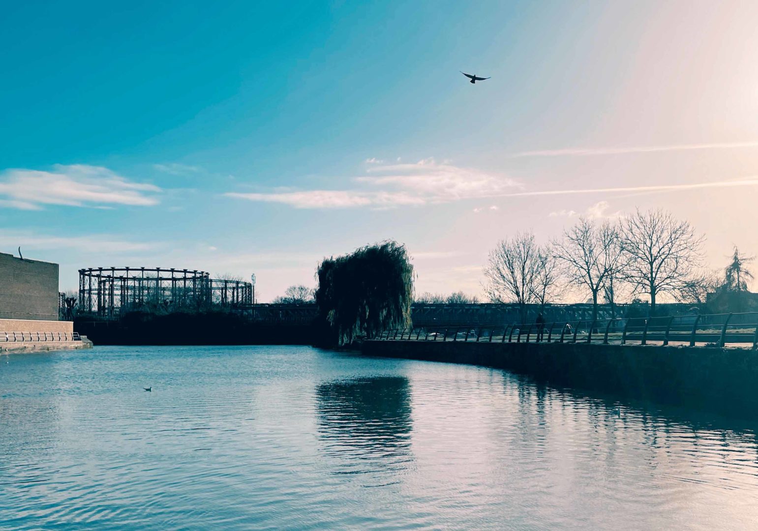 Homepage - CPRE London