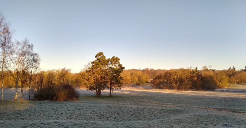 A dark day for parks as Whitewebbs development approved - CPRE London