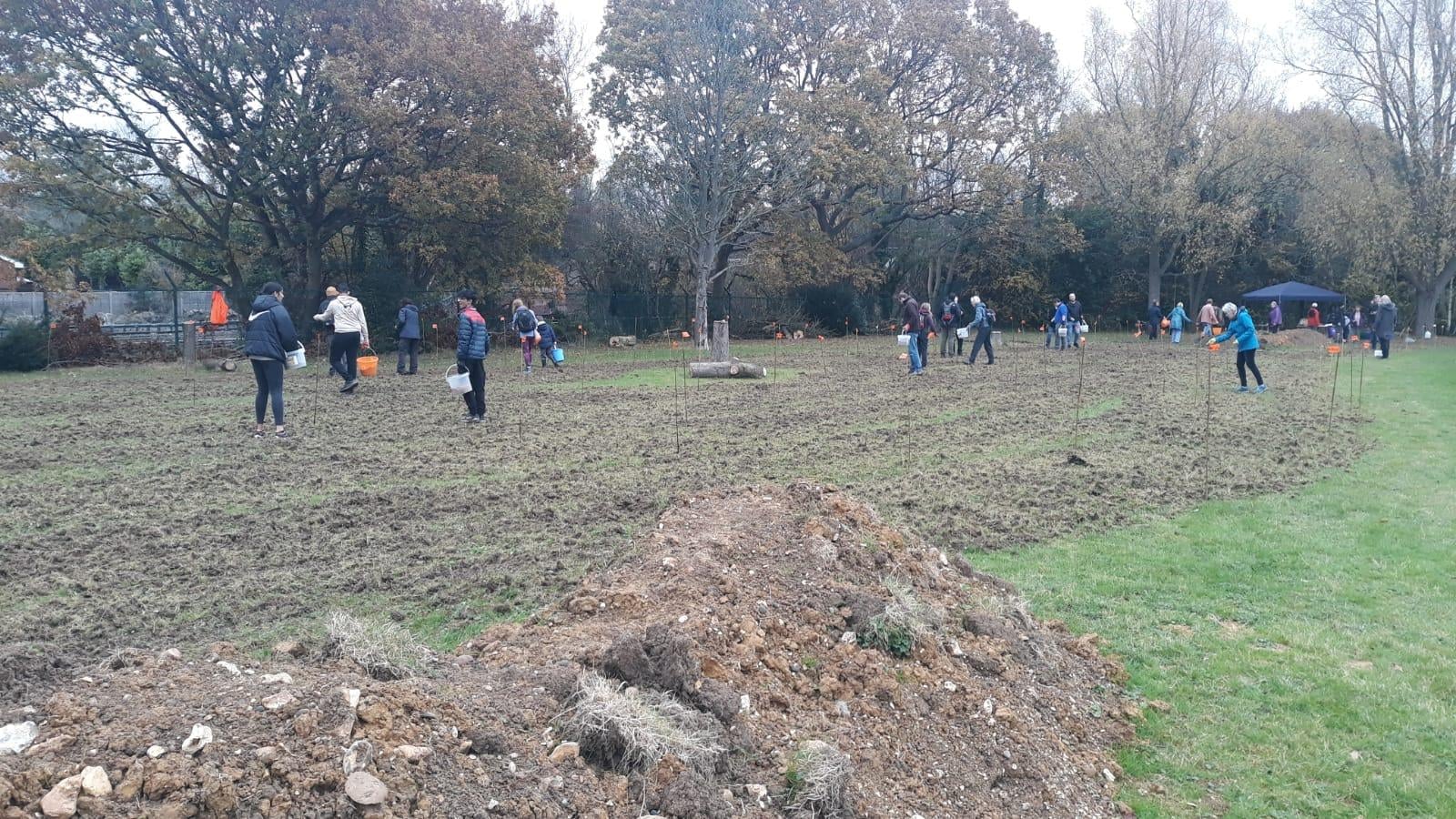 Restoring London's neglected green spaces - CPRE London