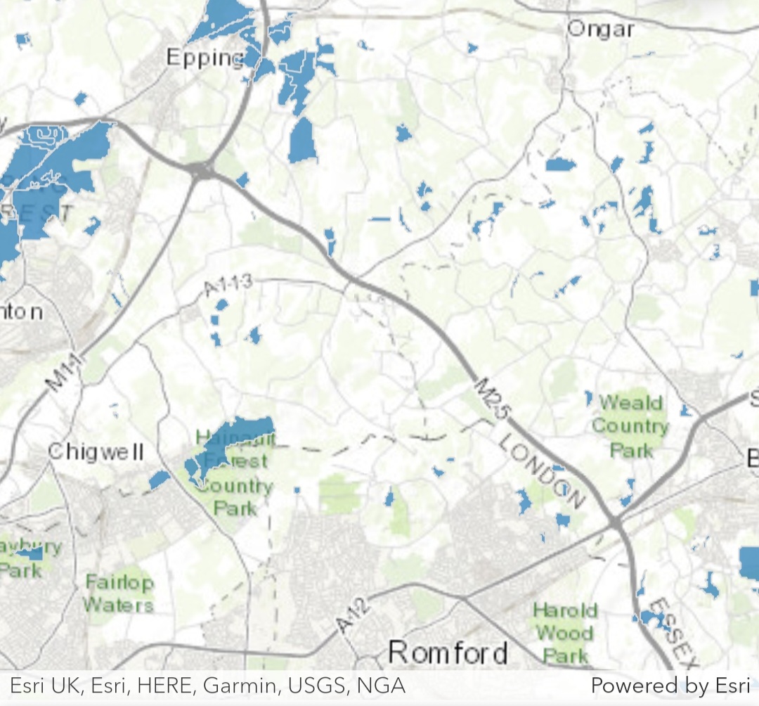 Recreating the Royal Forest of Waltham - CPRE London