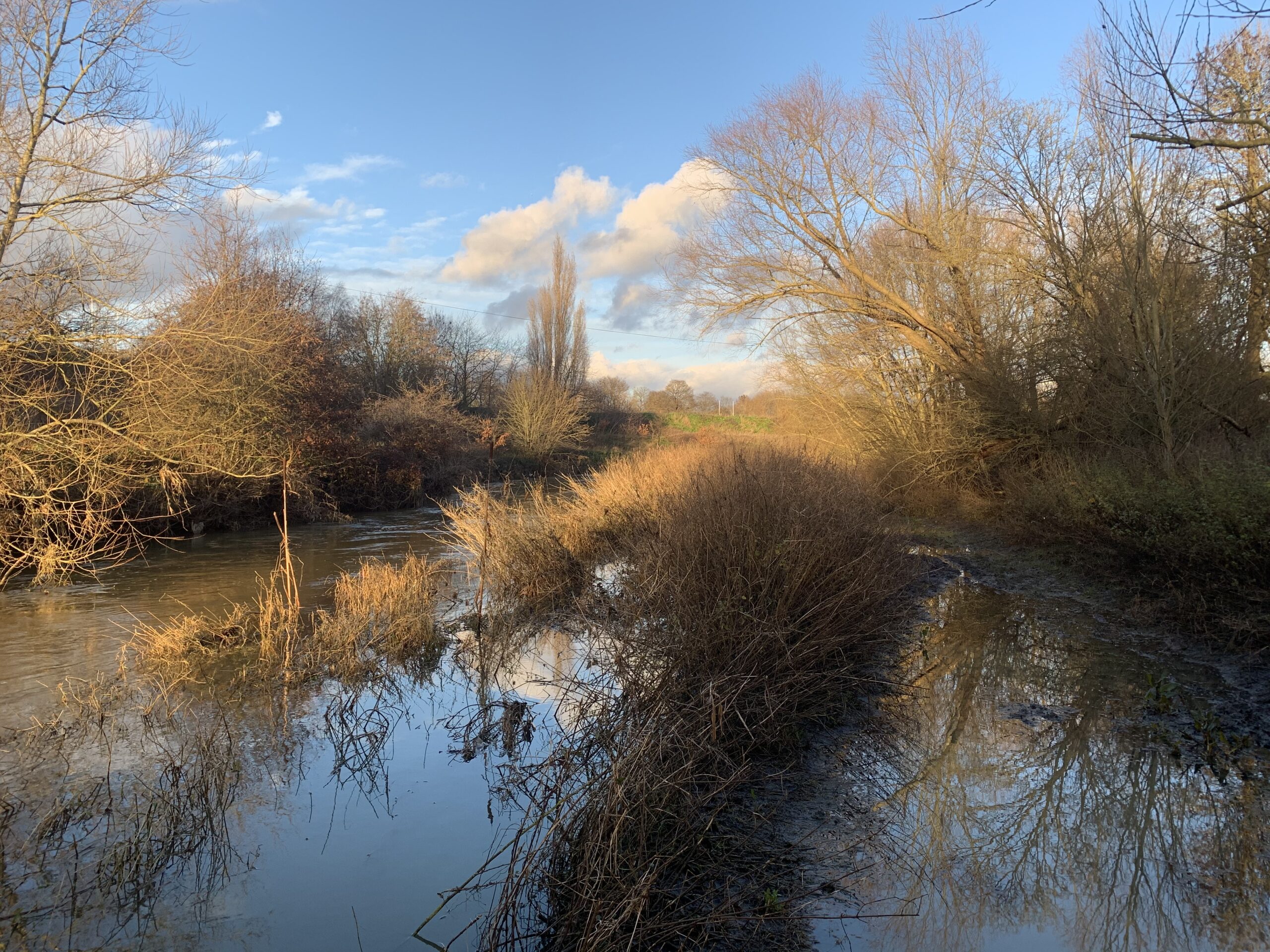 London Rivers Week 2023 - the highlights - CPRE London