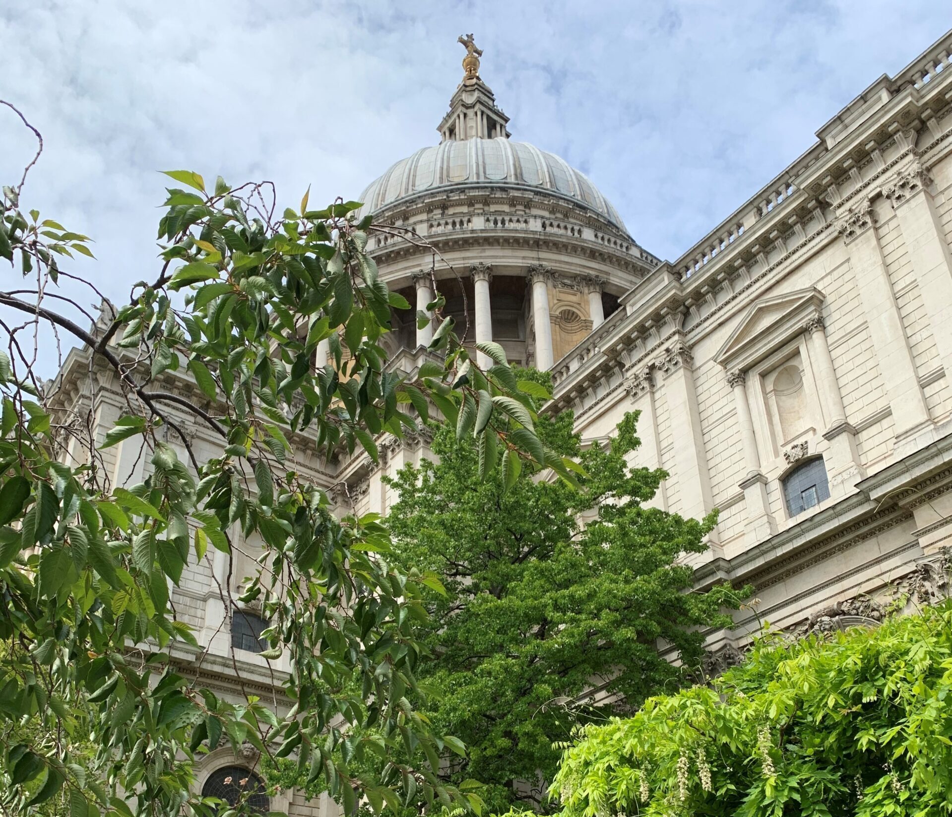 Urban Tree Festival - starts 13 May - CPRE London