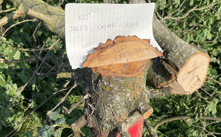 Homepage - CPRE London