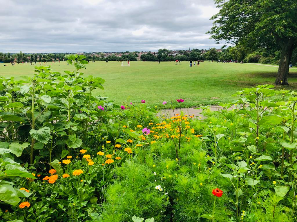 Barnet playing fields carved up: locals deserve better - CPRE London