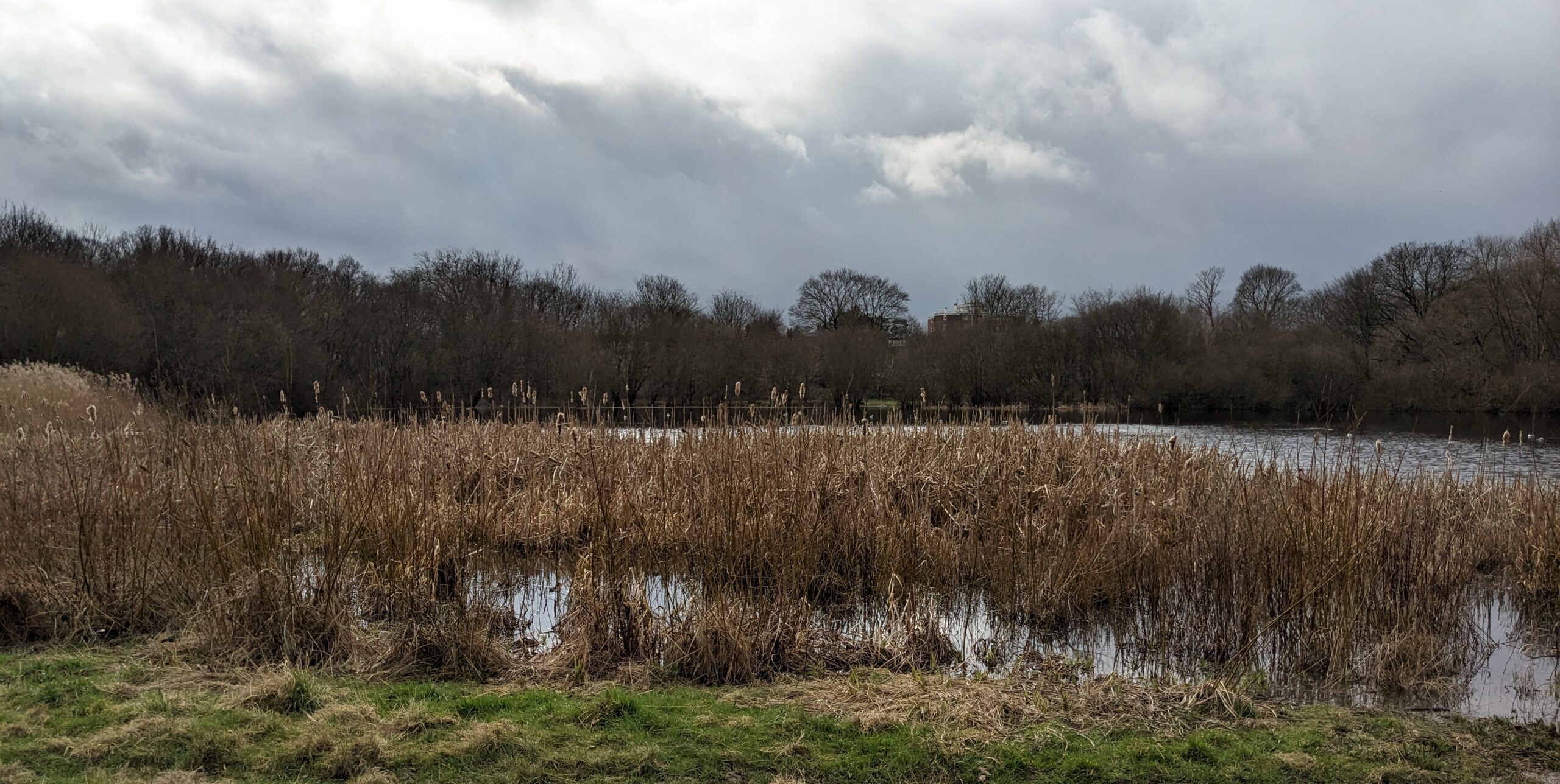 To manage flooding in London, we have to reduce car ownership. But why ...