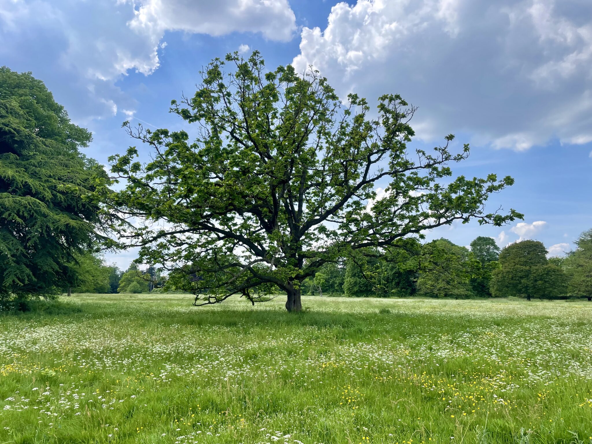 Homepage - CPRE London